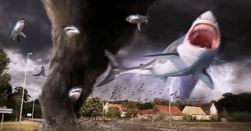 15 Bad Shark Movies That Couldn't Scare Anyone Out Of The Water ...